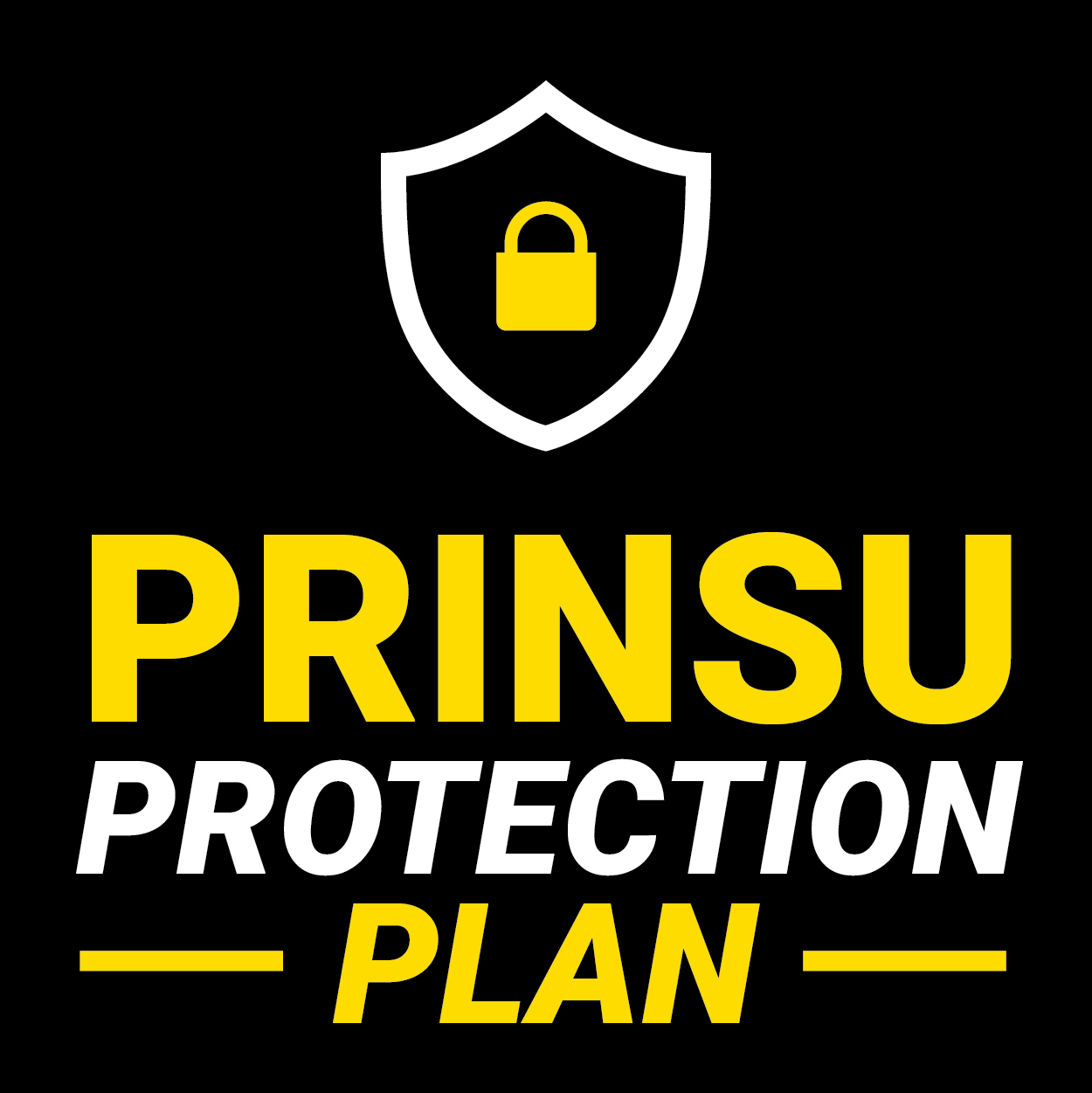 Prinsu Rack Protection Plan Details | CBI Offroad Fab